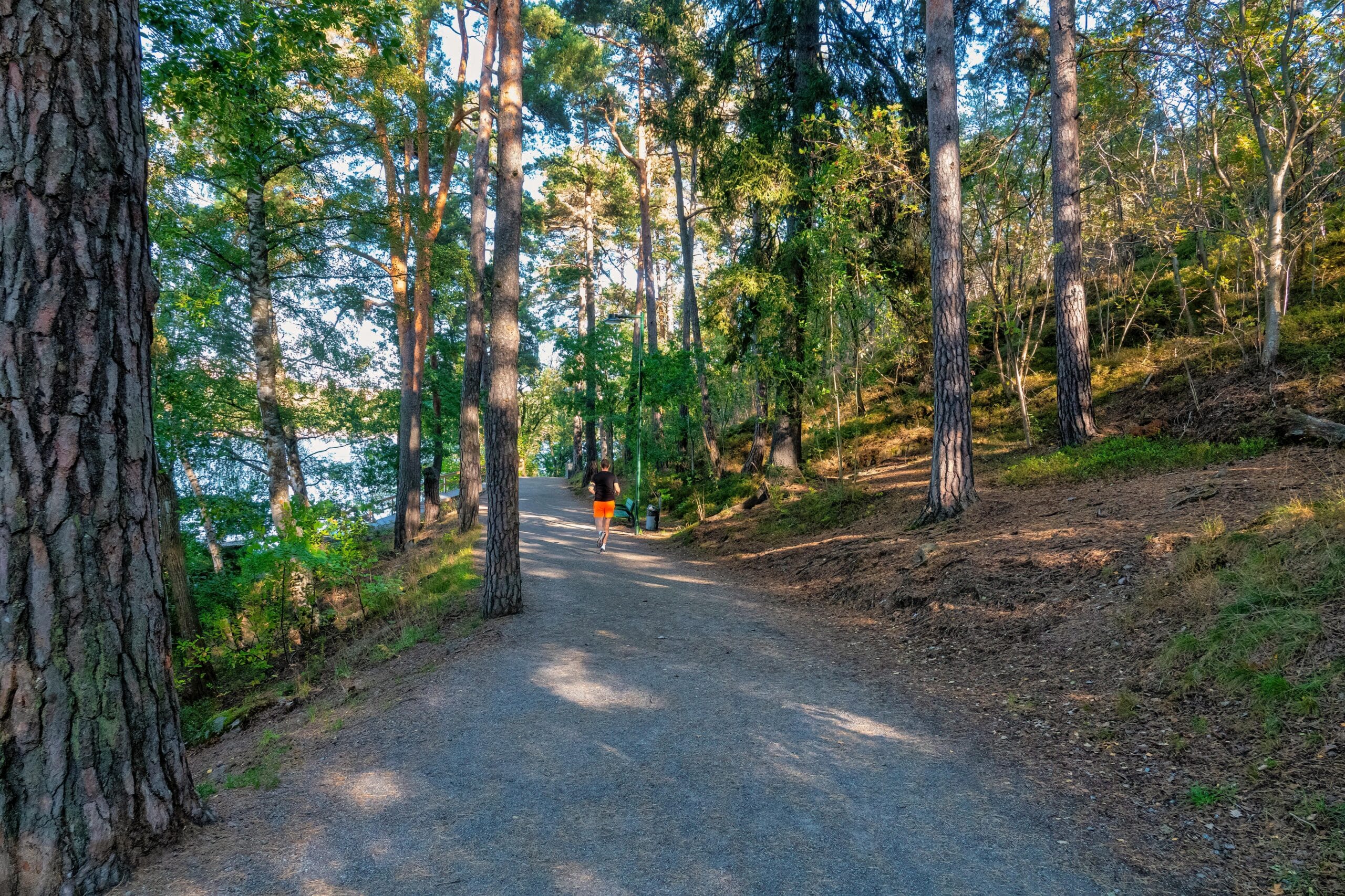 West Hill, Toronto | Family-Friendly Community Guide
