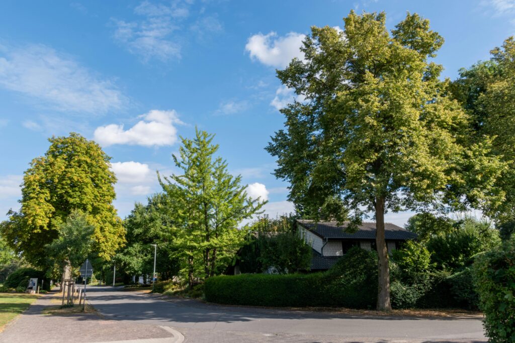 Clairlea-Birchmount Neighbourhood Guide | East Toronto
