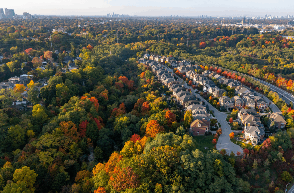 Bayview Village Toronto | Family Neighbourhood Guide